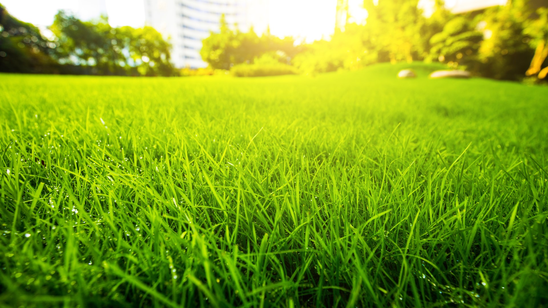 Spring Commercial Sprinkler Services | Tune-Ups & New Installations | 8 ...