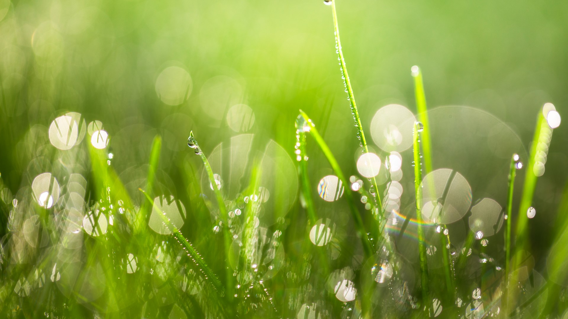 Lawn Sprinkler System Upgrades | Outdoor Sprinkler Retrofits & Repairs ...